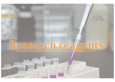 SHIMA Laboratories Co., Ltd. – SHIMA Laboratories Co., Ltd. is a ...