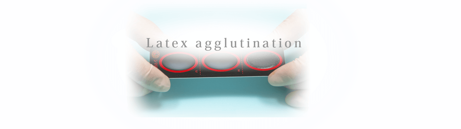 Latex agglutination (Qualitative) – SHIMA Laboratories Co., Ltd.